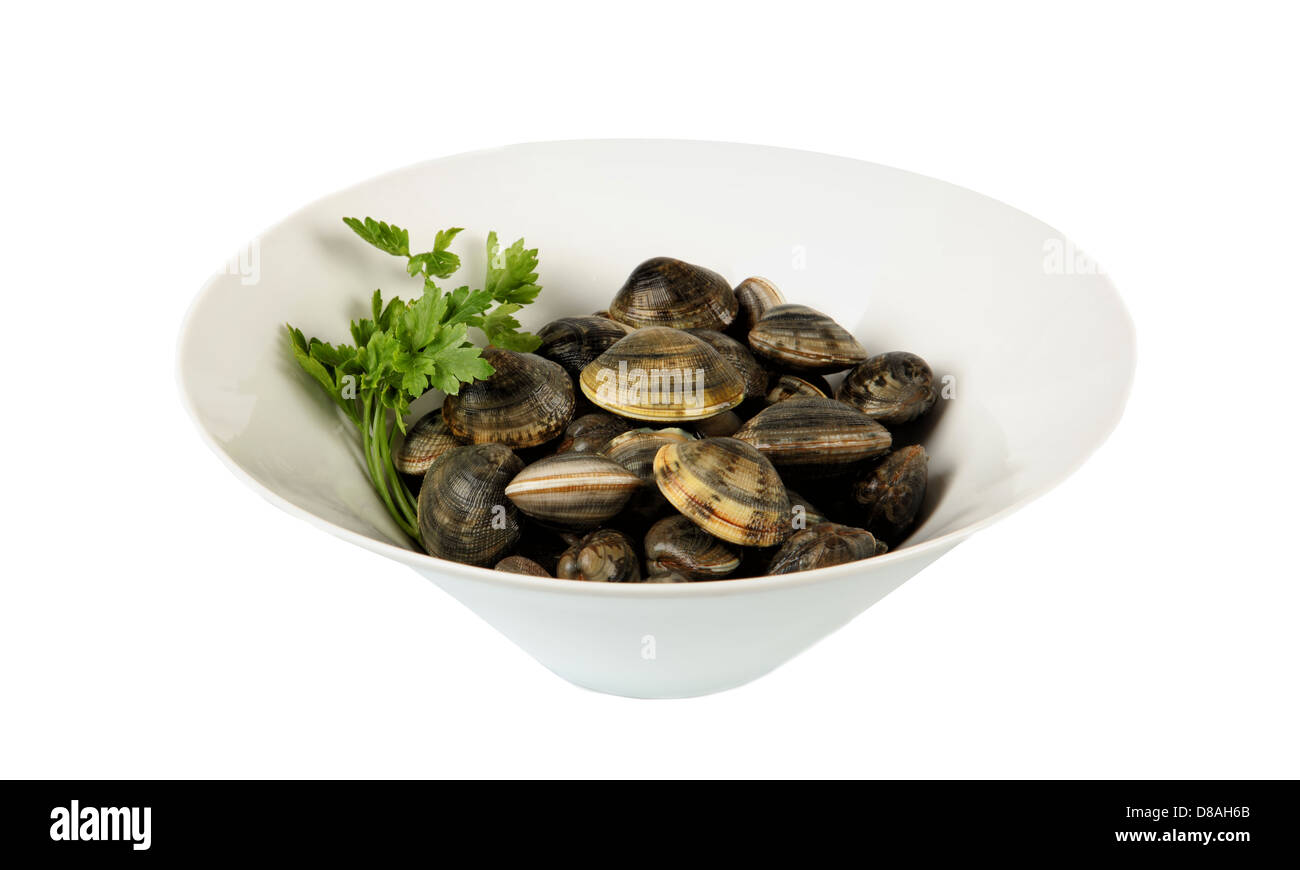 White bowl of clams with parsley on white background Stock Photo - Alamy