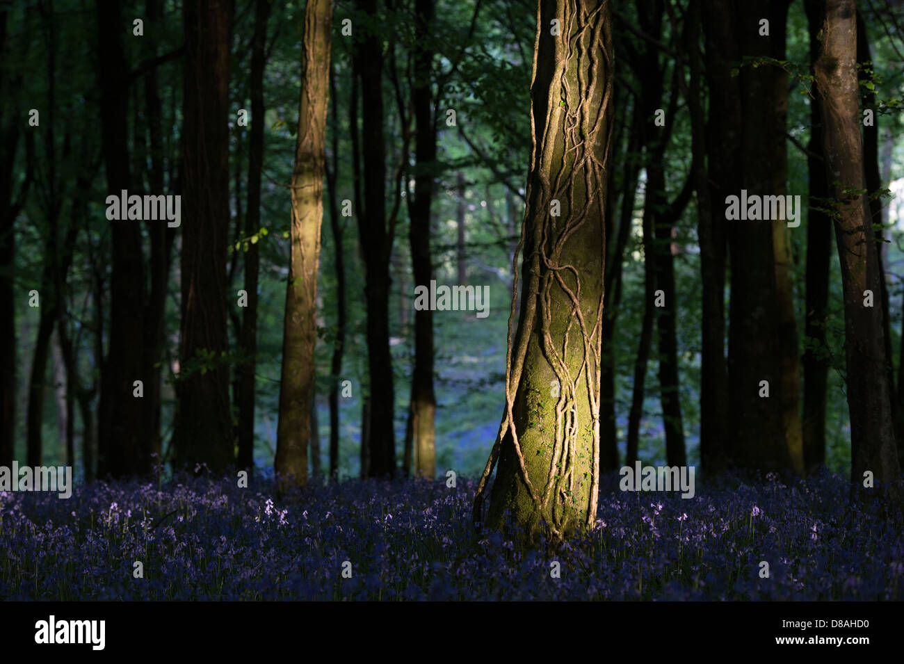 Laght and shade hi-res stock photography and images - Alamy