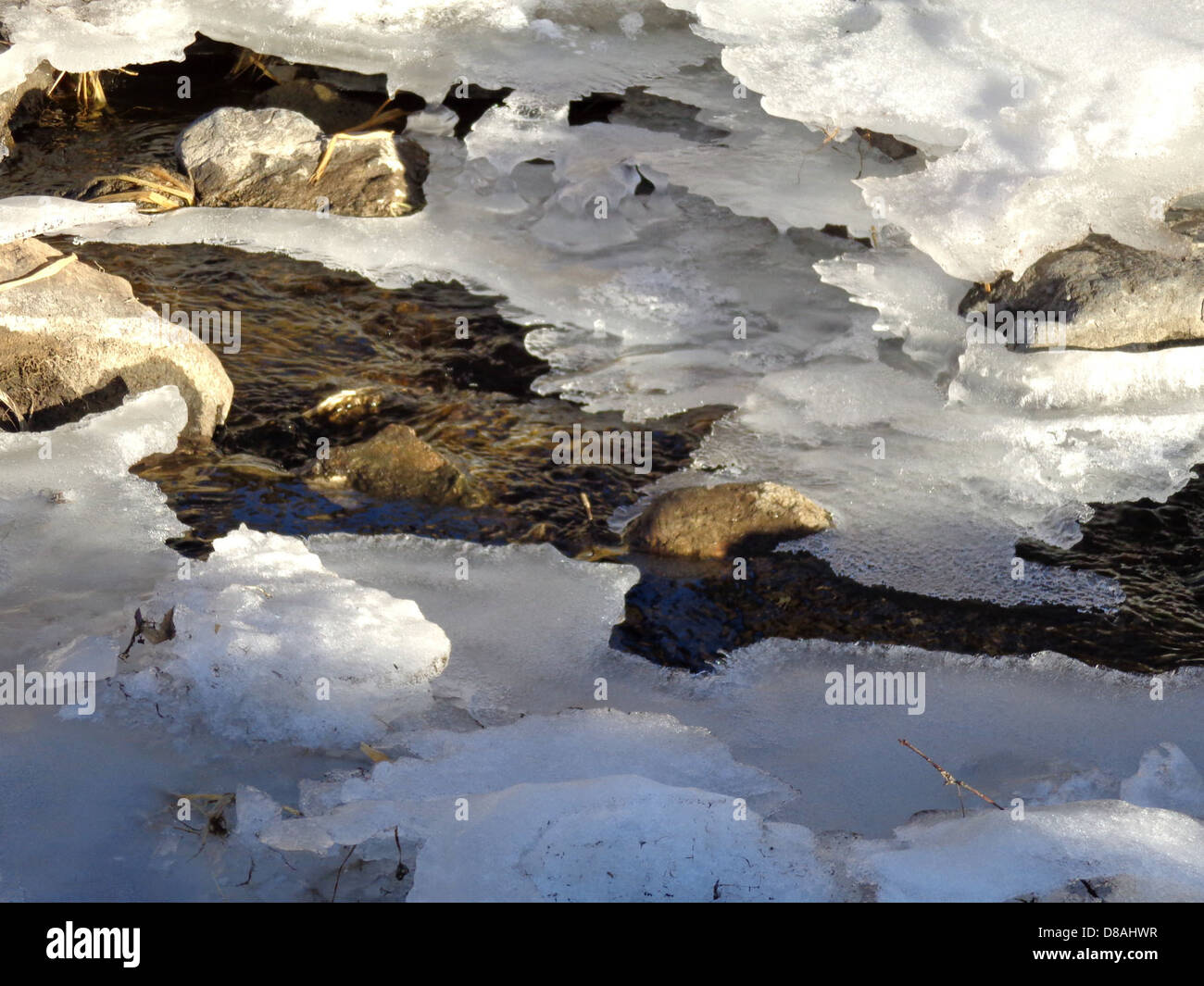 A winter stream with sections of melting ice, flowing gently over rocks ...