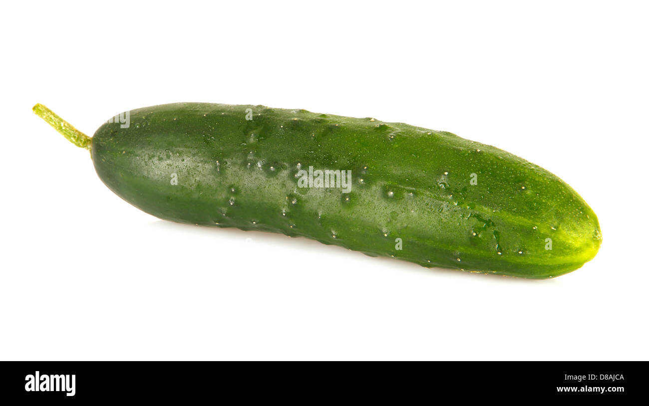 One isolated cucumber on white background Stock Photo - Alamy