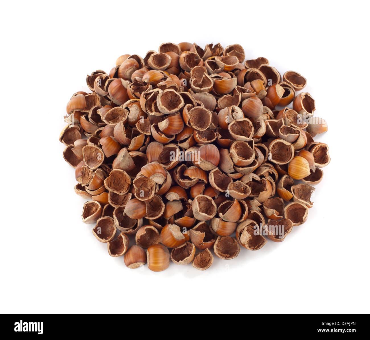 Nut shells on white background Stock Photo - Alamy