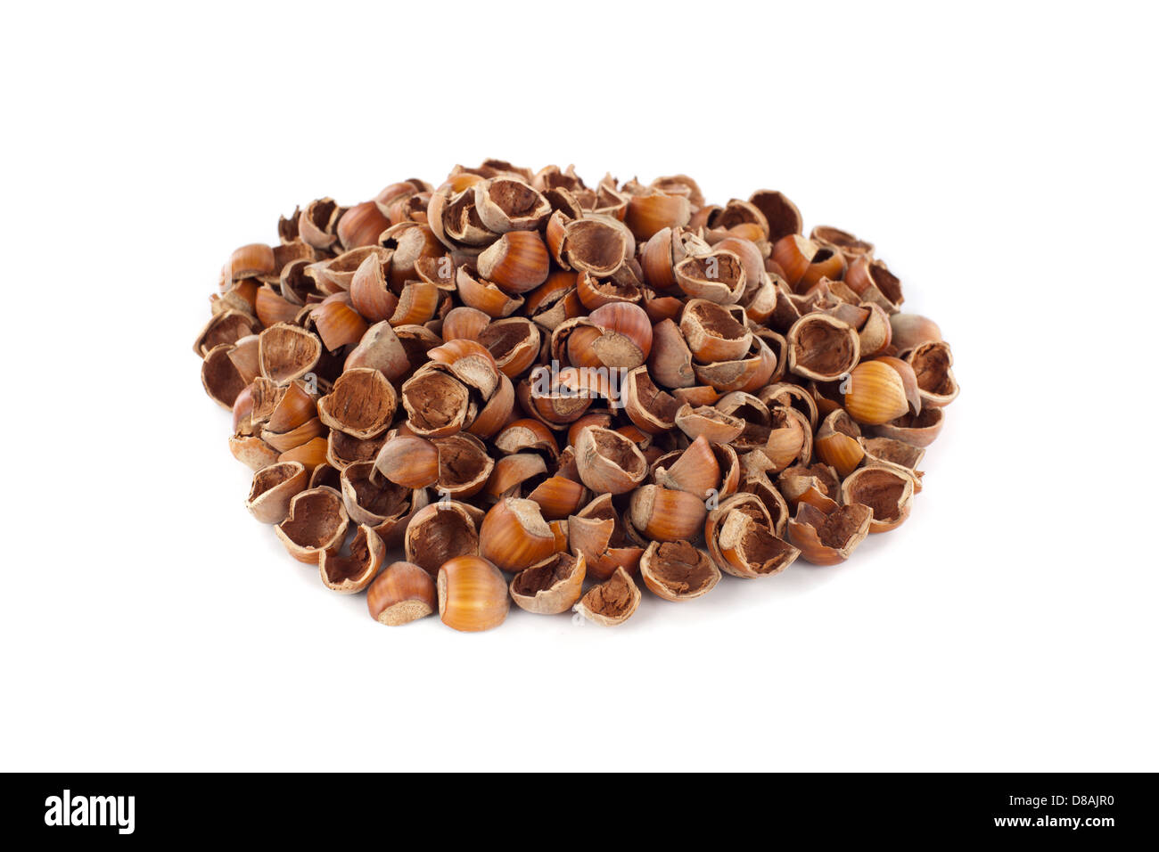 Nut shells on white background Stock Photo - Alamy