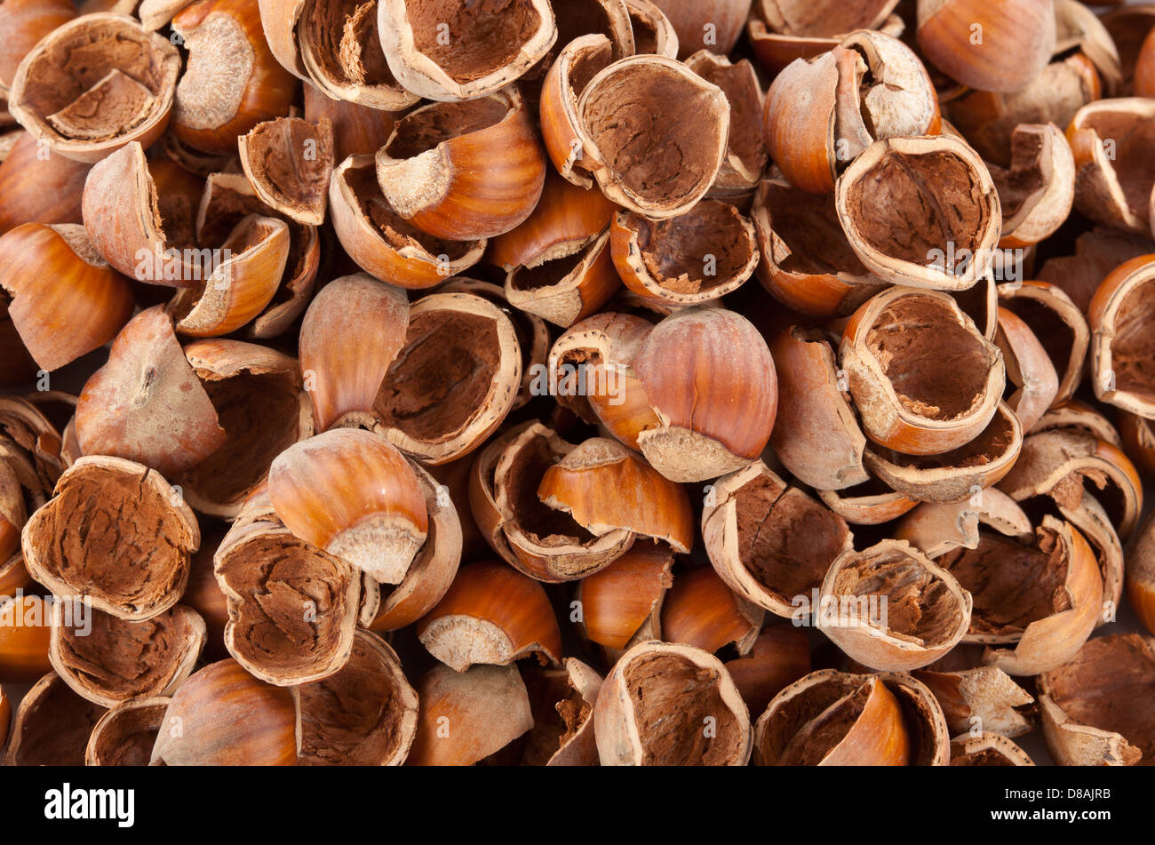 Nut shells on white background Stock Photo - Alamy