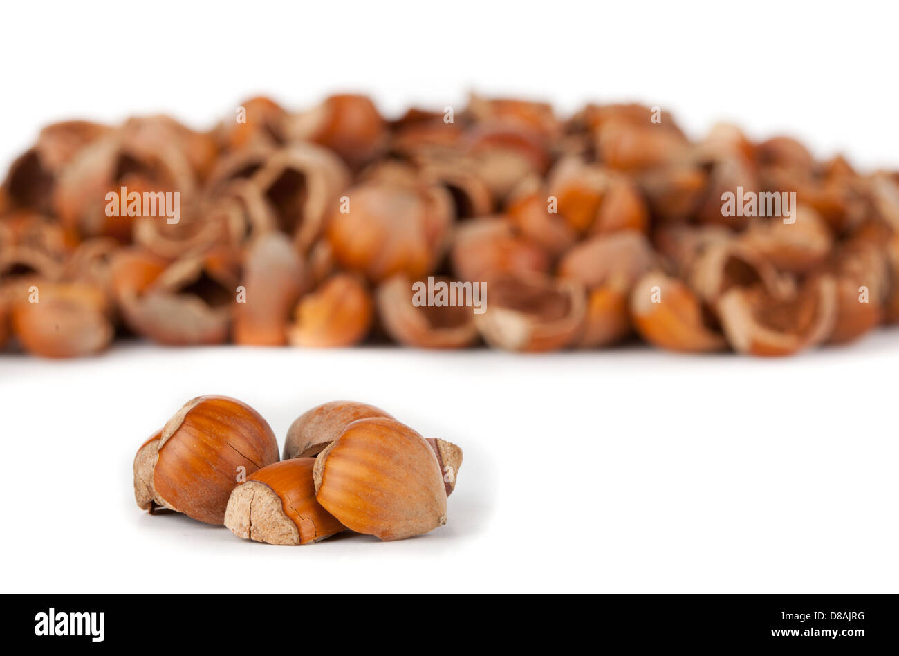 Nut shells on white background Stock Photo - Alamy