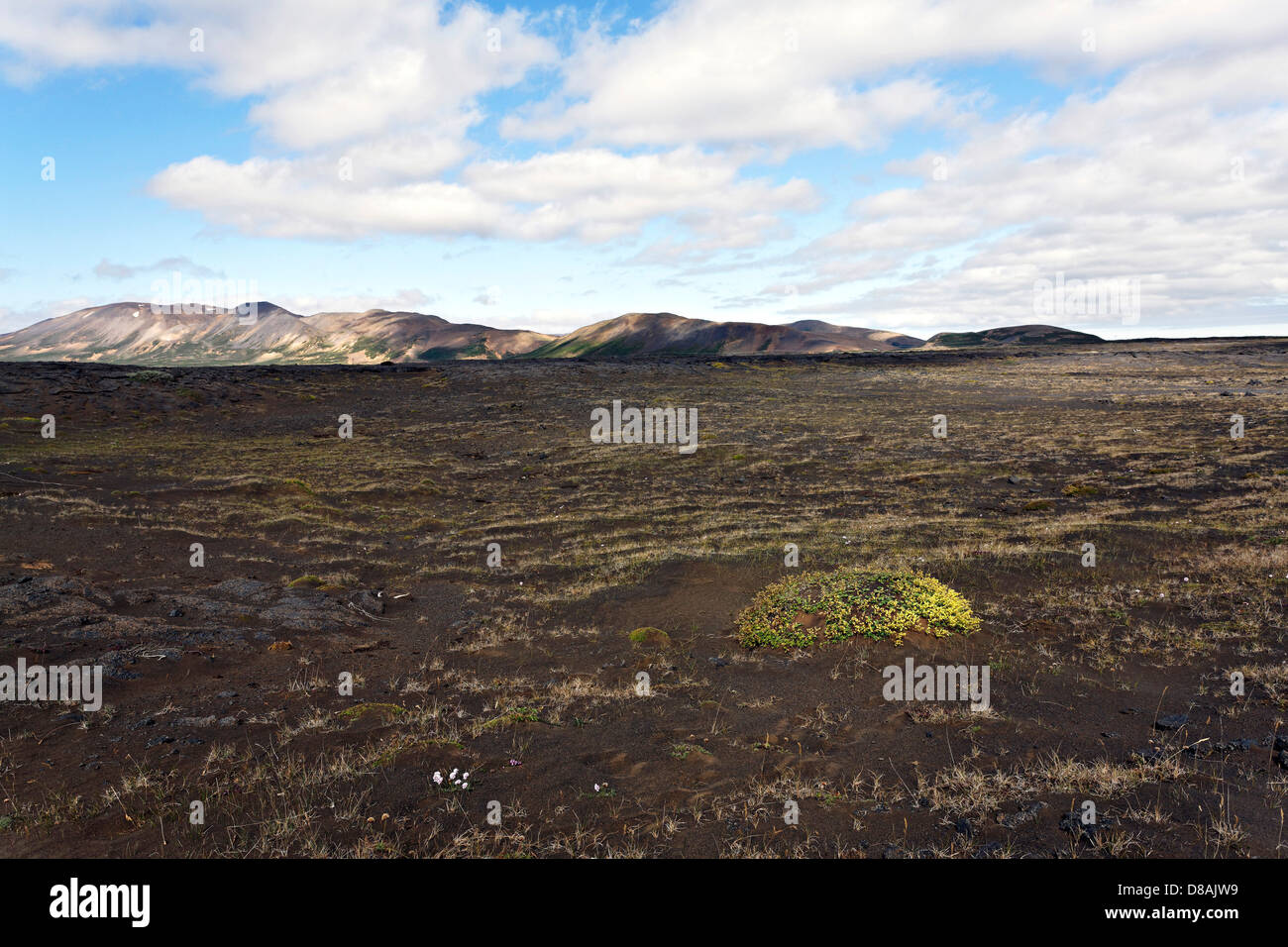 Krafla region hi-res stock photography and images - Alamy