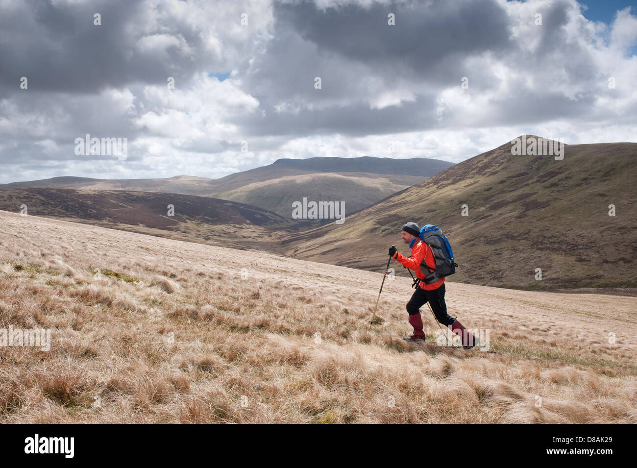 A man walking on the Northern Fells in the Lake District between Knott ...