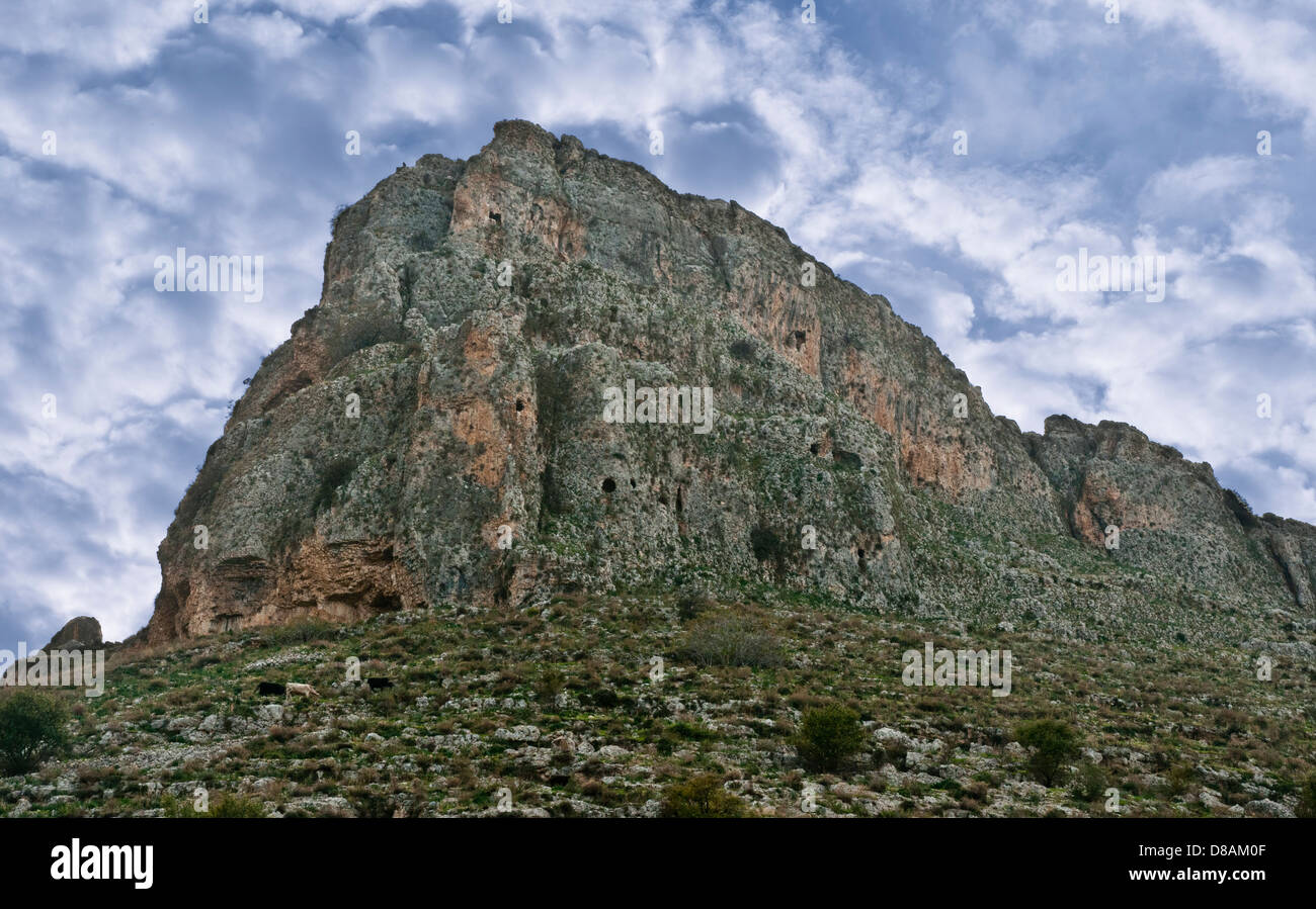 Nitai hi-res stock photography and images - Alamy