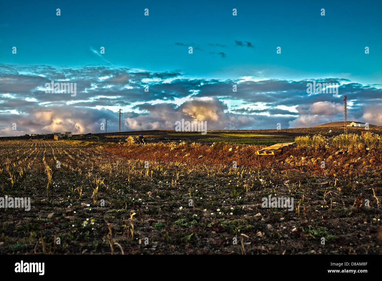 Farmland on lava soil Stock Photo - Alamy
