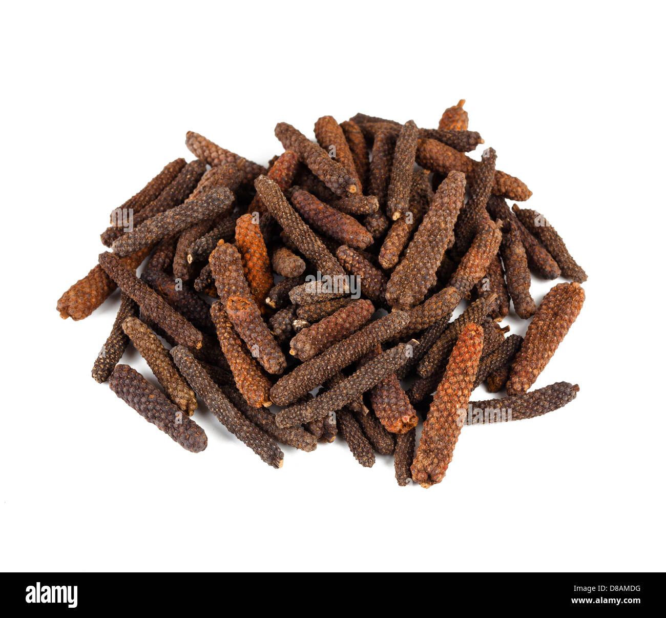 Long pepper or Piper longum on white background Stock Photo - Alamy