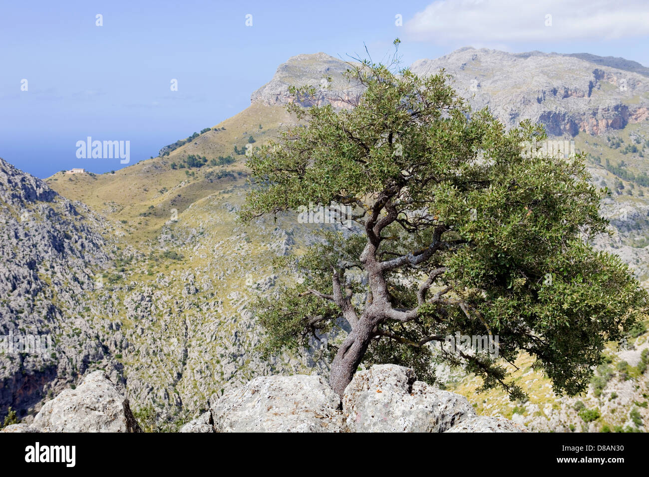 Mallorca mountain view in the north of the island, Spain Stock Photo ...
