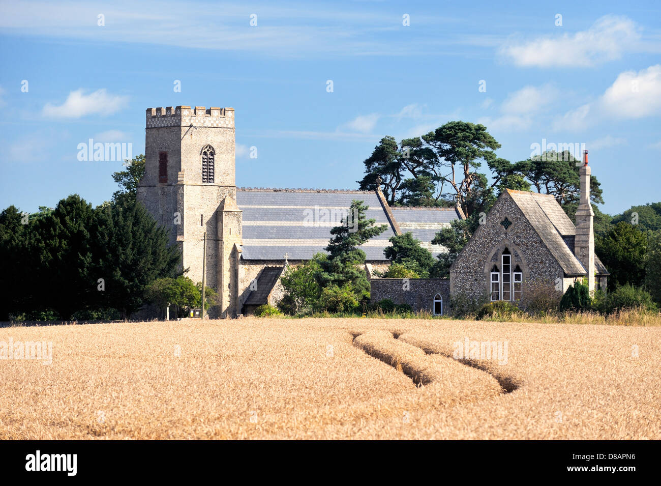 St Mary the Virgin Parish Church across ripe barley field in the ...
