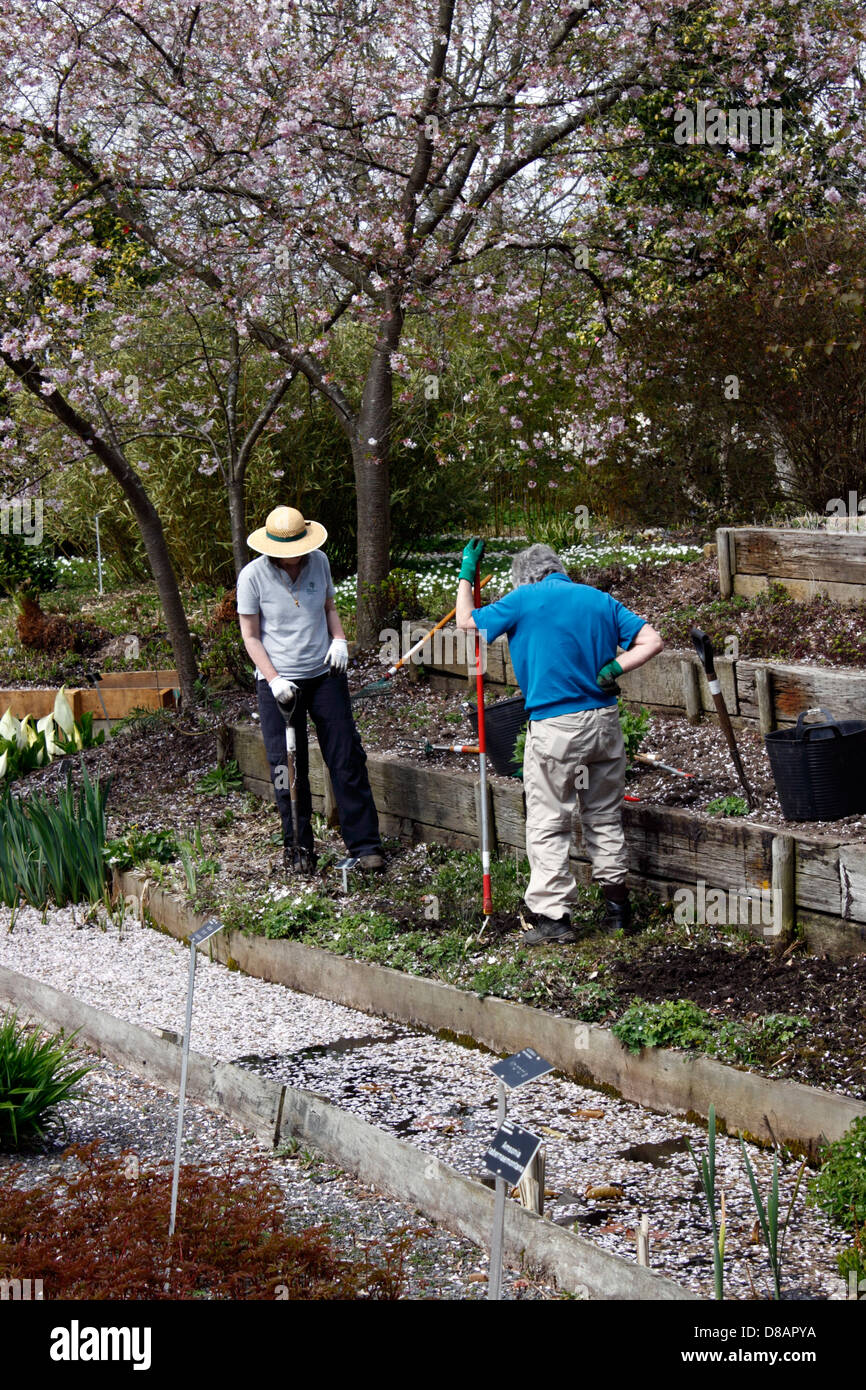 Working gardeners hi-res stock photography and images - Alamy