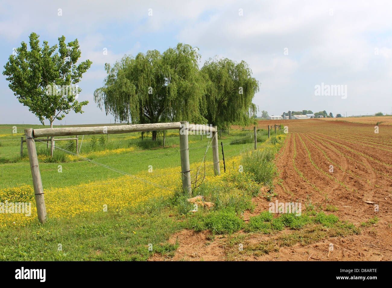 Gorgeous scene of rural countryside with farmland,planted fields and ...