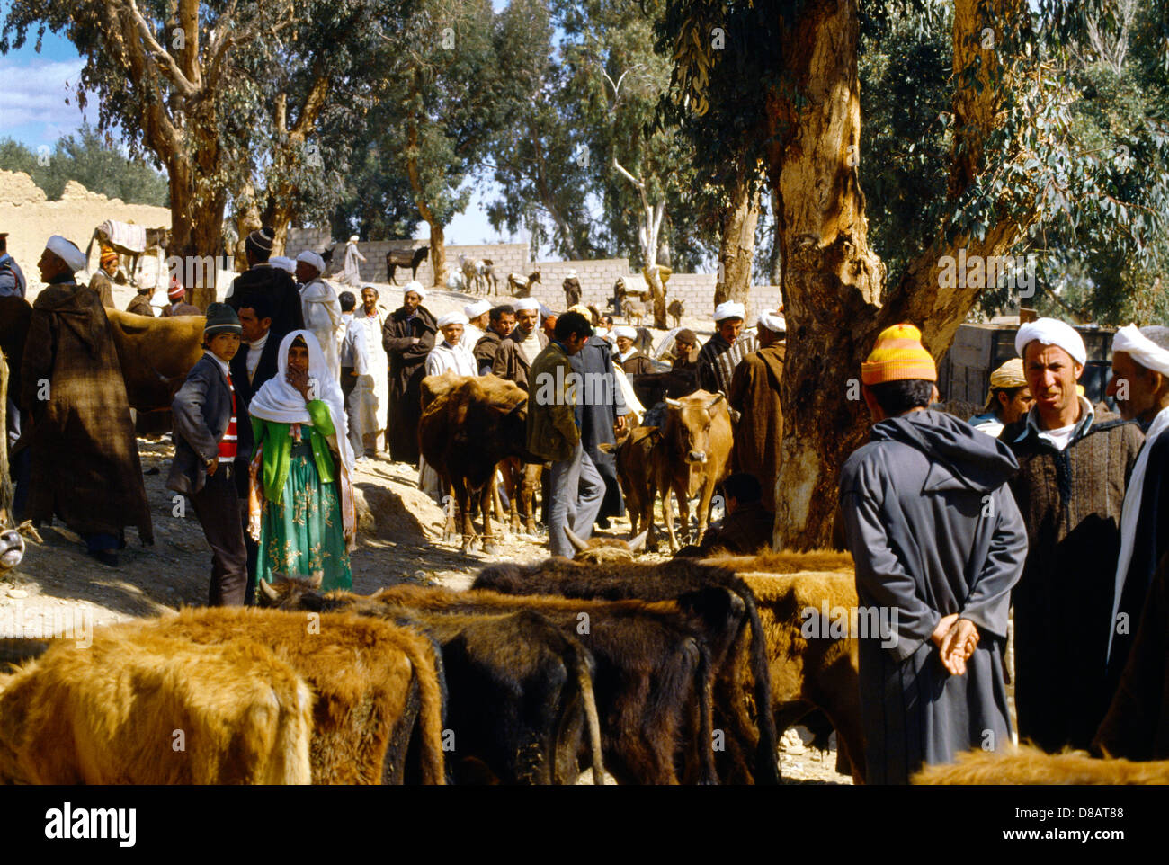 Oatat hi-res stock photography and images - Alamy