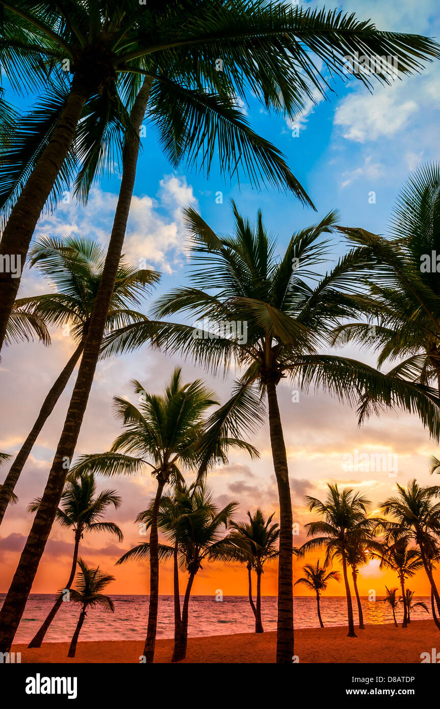 beach; Riu Palace; hotel; Punta Cana; Dominican Republic; Caribbean ...