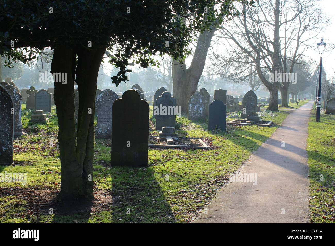 Graveyard tree hi-res stock photography and images - Alamy