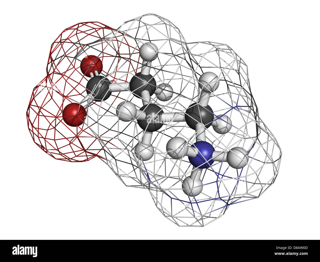 Gaba neurotransmitter hi-res stock photography and images - Alamy