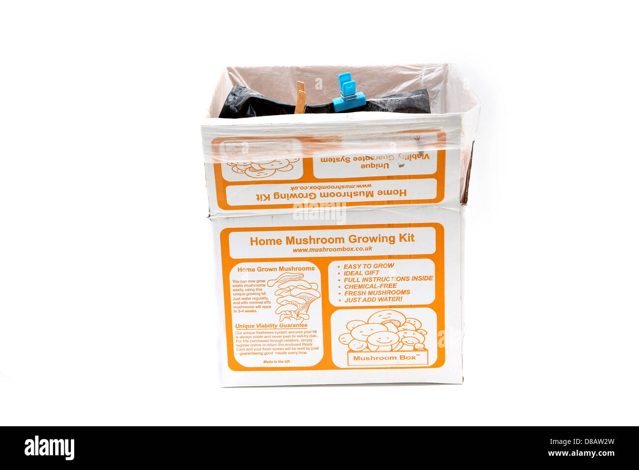 Home Mushroom Growing Kit Mushroom Box for Growing Champagne Pink ...