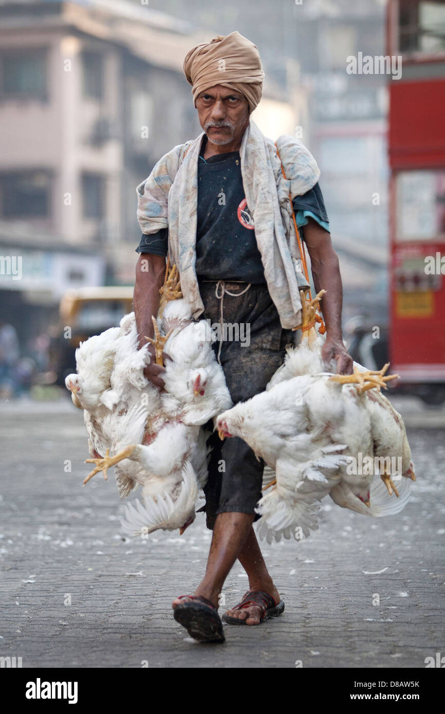 Live chicken in food market hi-res stock photography and images - Alamy