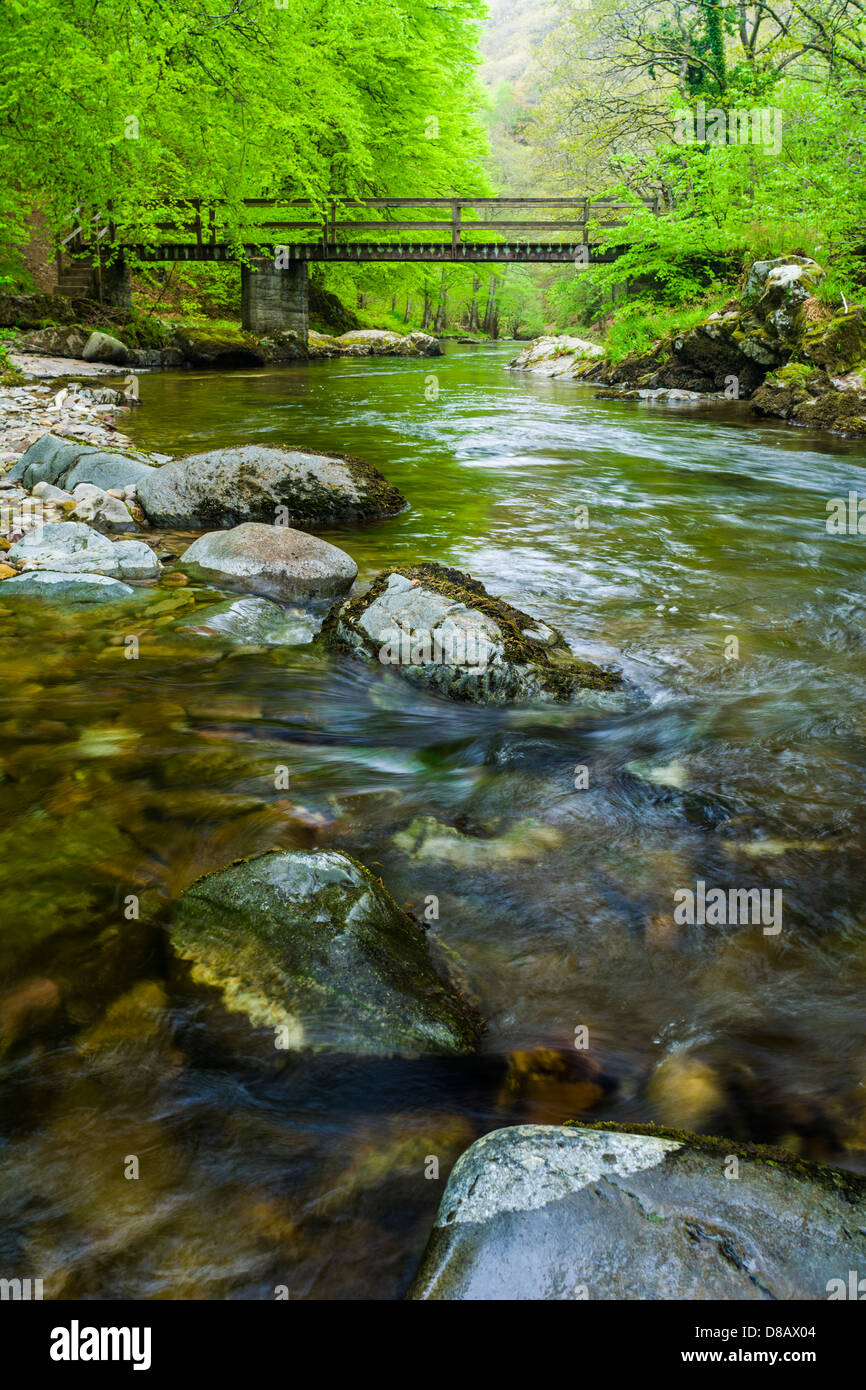 Ash Bridge over the East Lyn River in Barton Wood in the Exmoor ...
