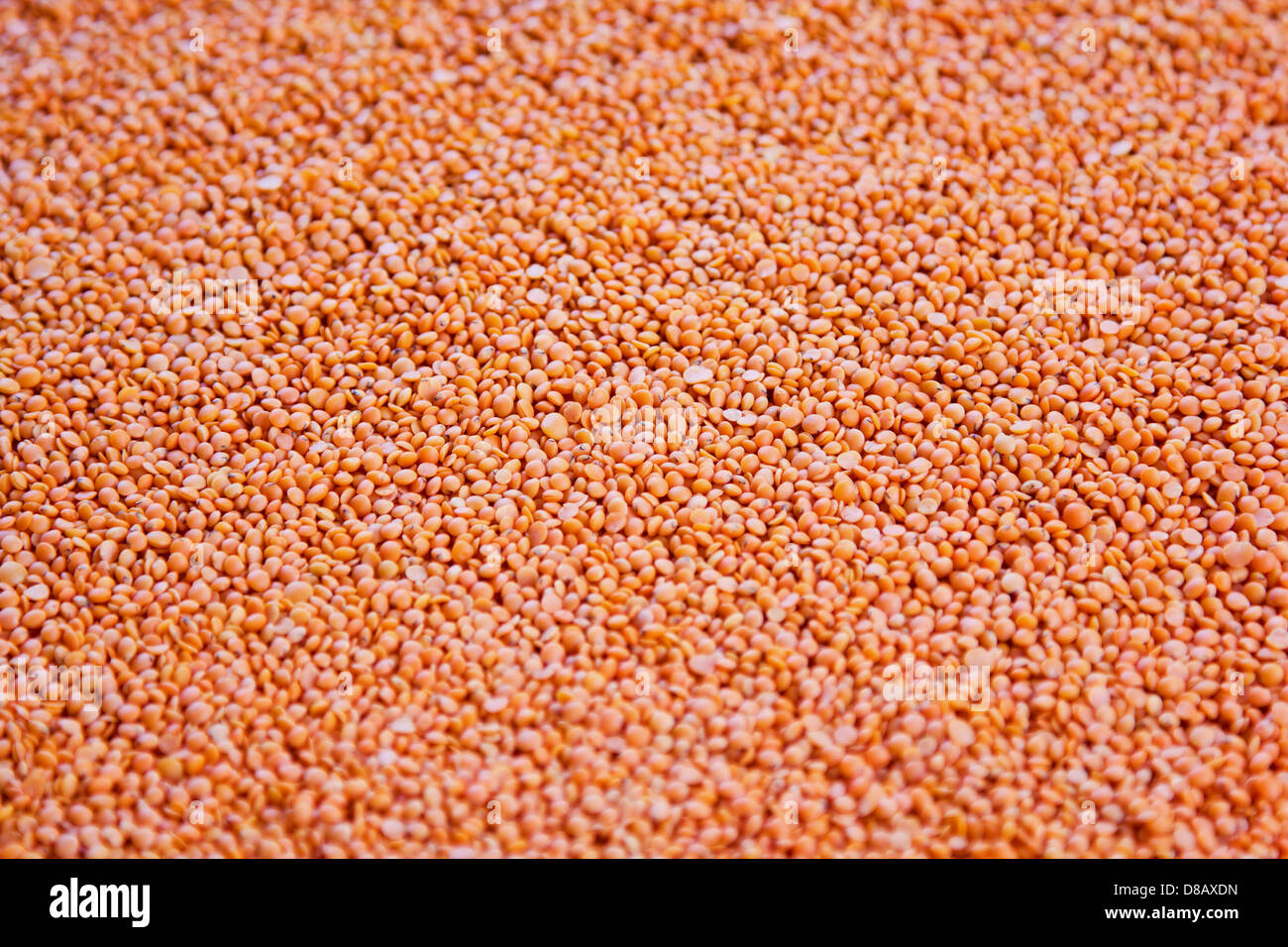Orange Lentil is generally cook as soup and salad Stock Photo - Alamy