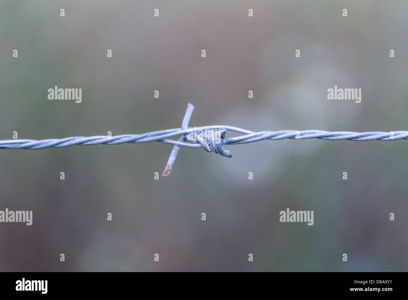 Barbed Wire fence Stock Photo - Alamy
