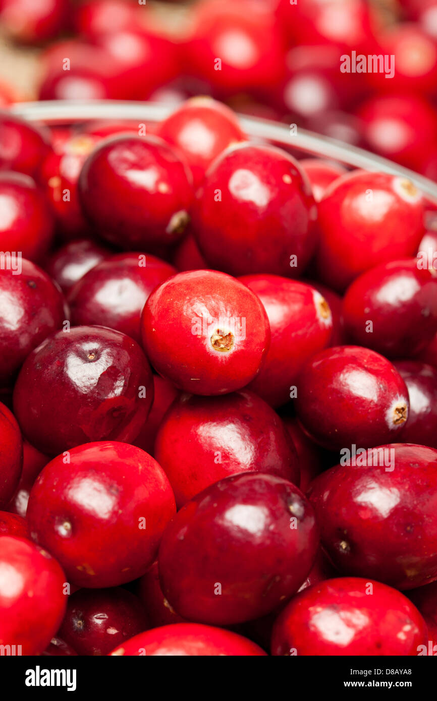 Red Ripe Cranberry against a back ground Stock Photo - Alamy