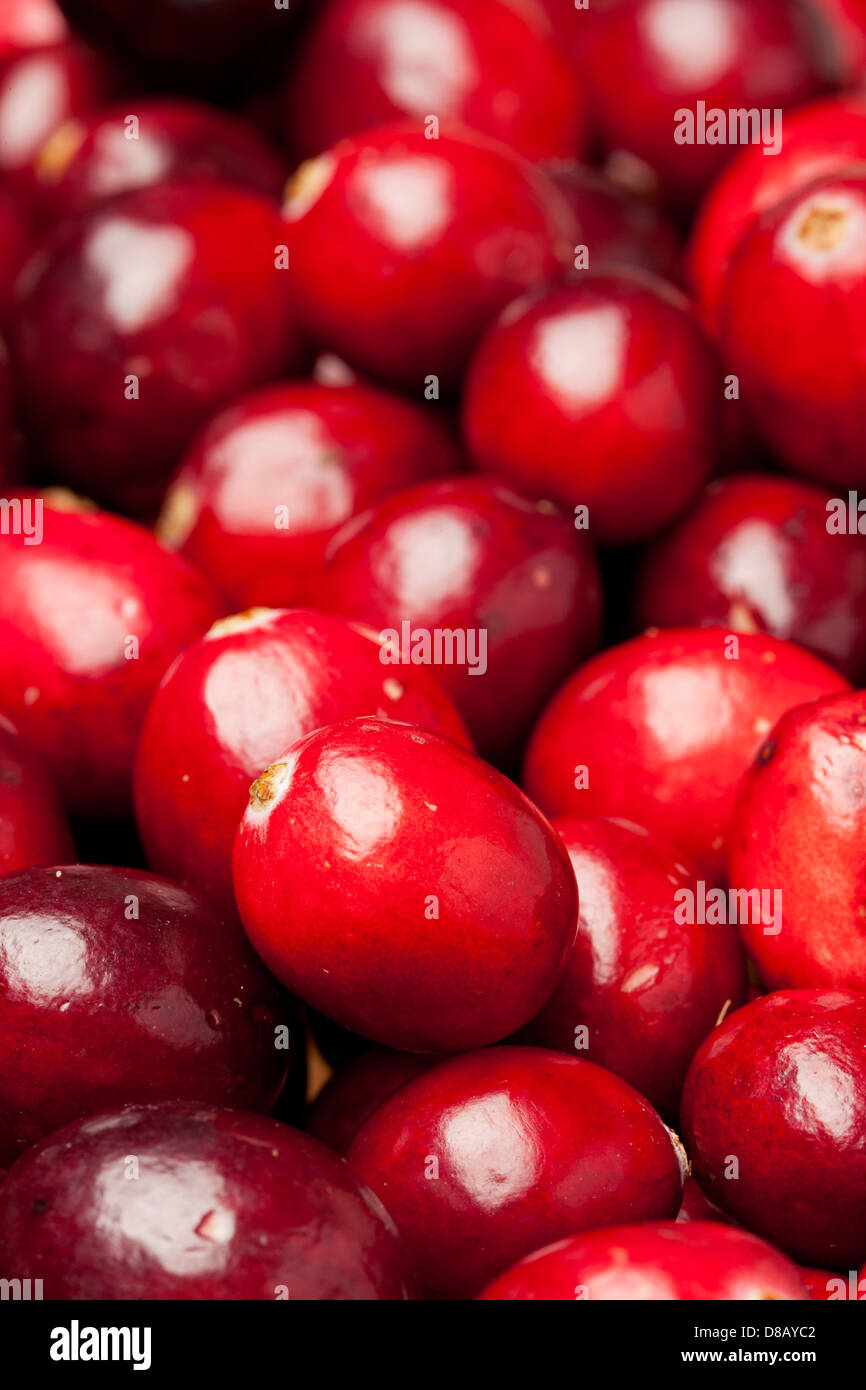 Red ground fruit hi-res stock photography and images - Alamy