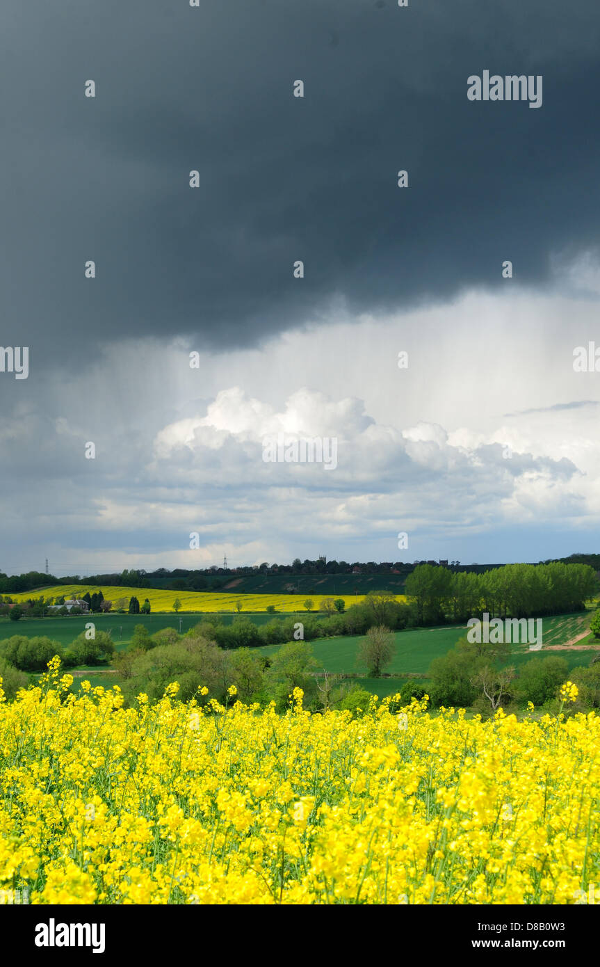 Eakring, Notts. UK. 23rd May 2013.Unseasonal weather of cool ...