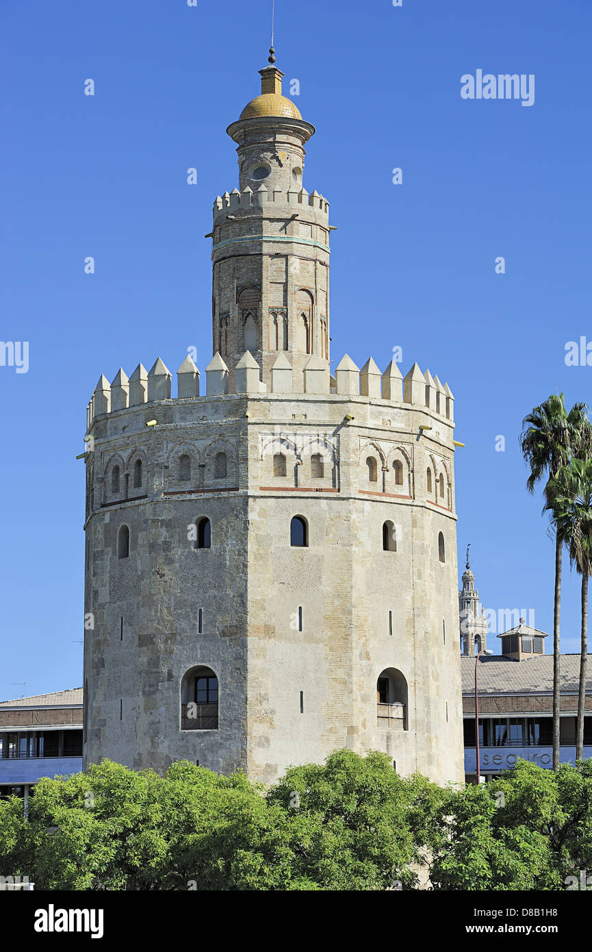 view of Golden Tower (Torre del Oro), Seville, Spain Stock Photo - Alamy