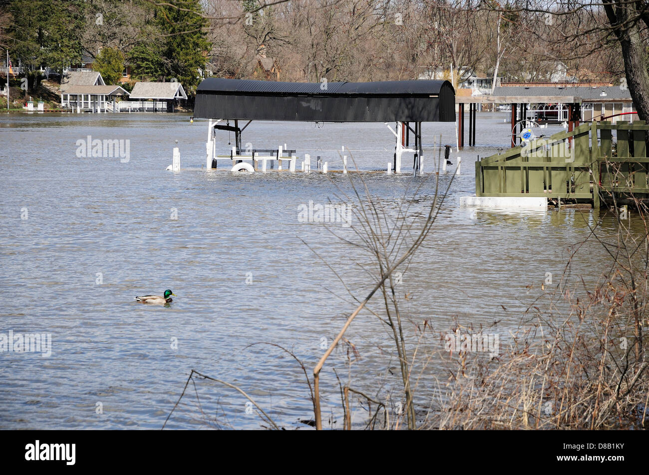 Flooded river after spring rains Stock Photo - Alamy