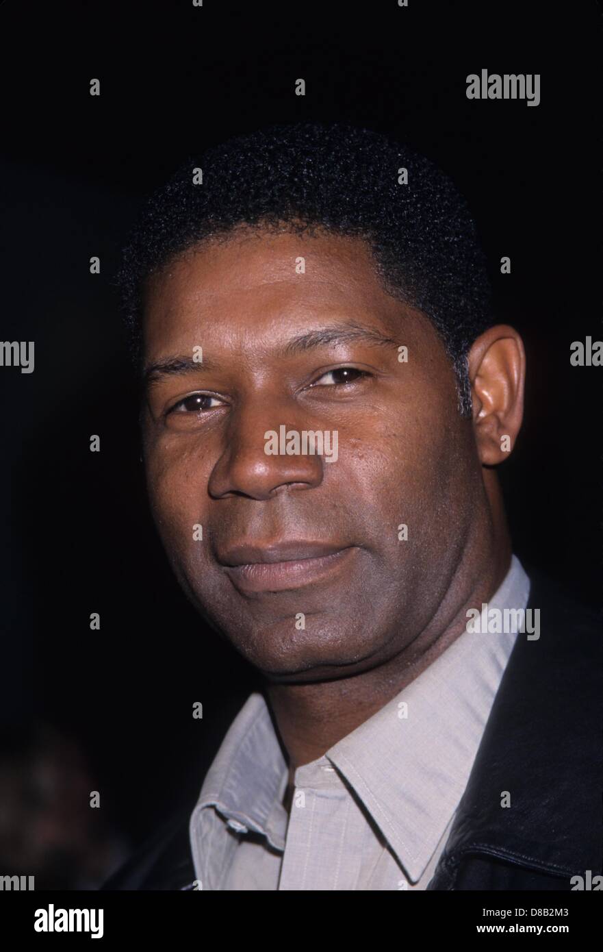DENNIS HAYSBERT.Fox - T.C.A. party Hollywood at Highland in Hollywood ...