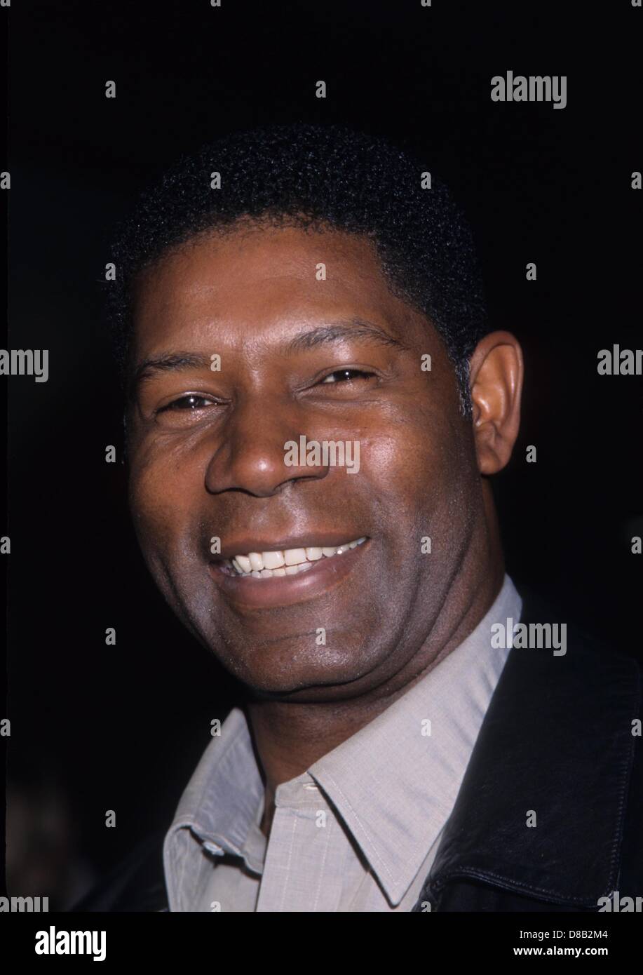 DENNIS HAYSBERT.Fox - T.C.A. party Hollywood at Highland in Hollywood ...