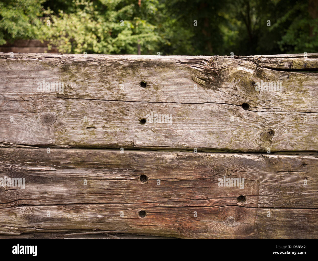 London Hampstead Heath, wooden oak tree fence Stock Photo - Alamy