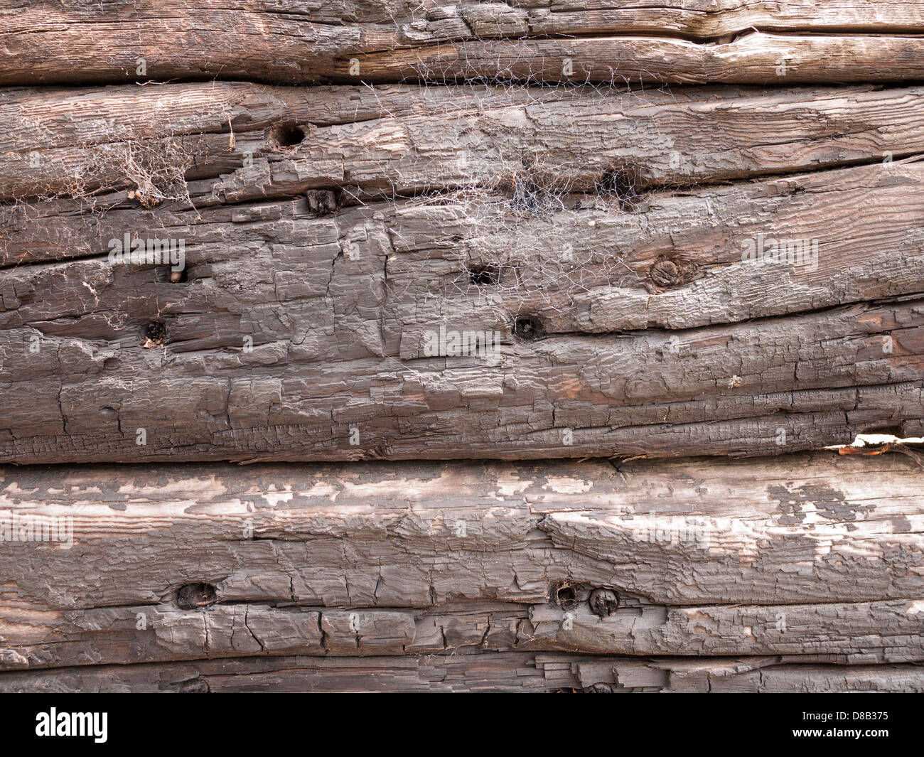 London Hampstead Heath, wooden oak tree fence Stock Photo - Alamy