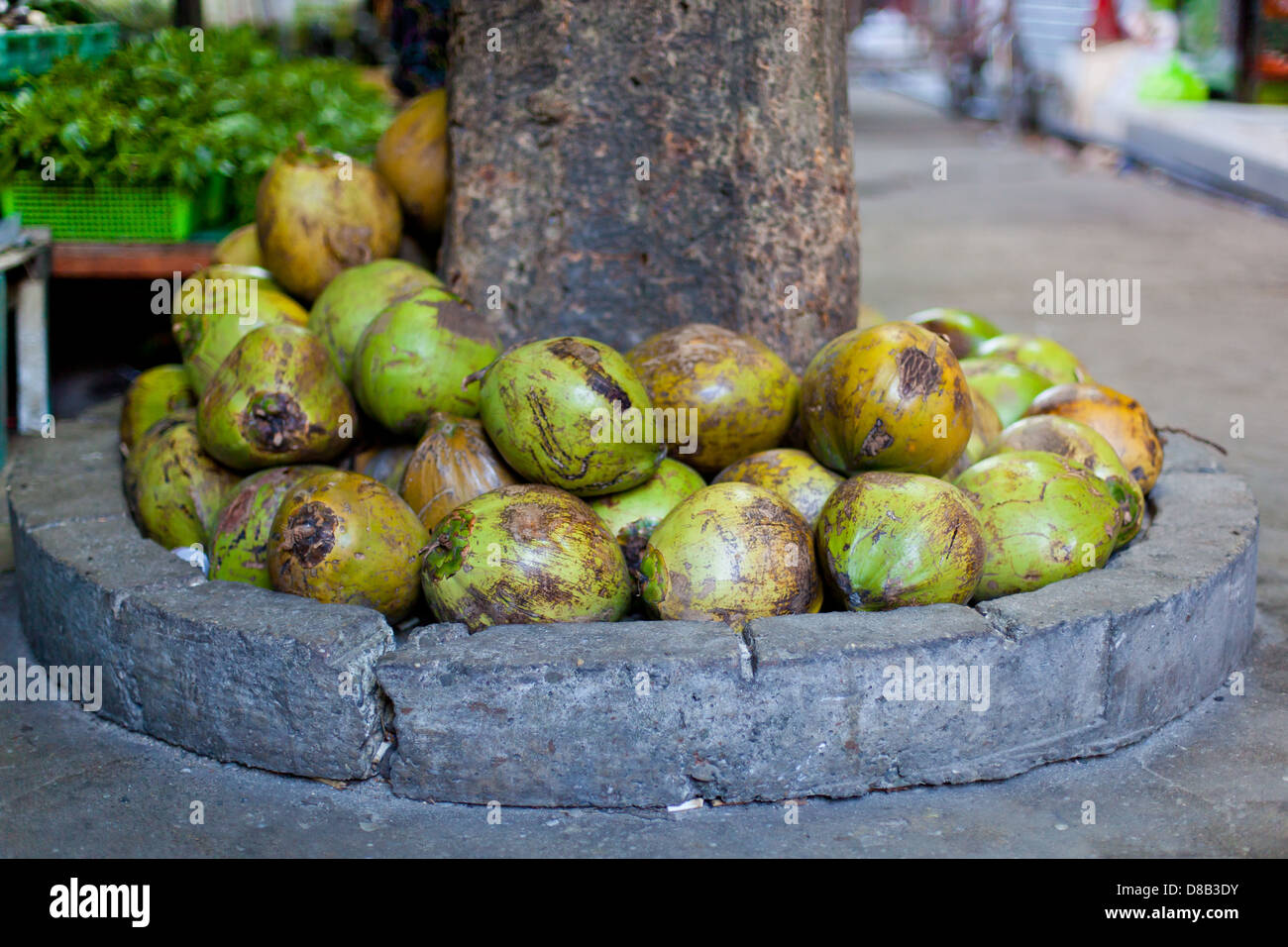 Coconuts in asian market in Philippines Stock Photo - Alamy