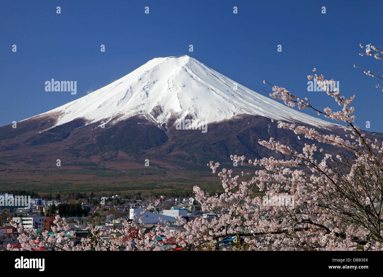 Snowy Mount Fuji and cherry blossoms Fuji-Yoshida city Japan Stock ...