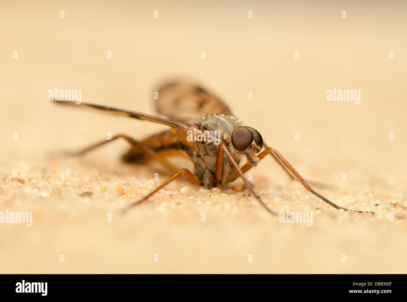Interesing hi-res stock photography and images - Alamy