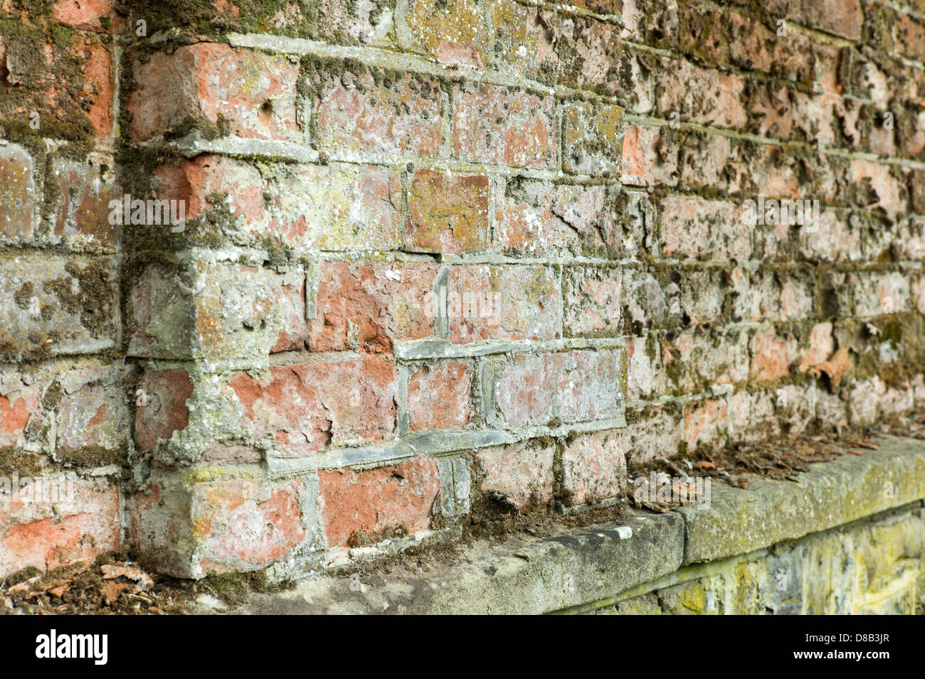 Wall heath hi-res stock photography and images - Alamy