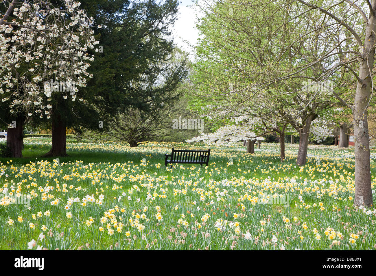 Spring Flowers Hampton Court Gardens UK Stock Photo - Alamy