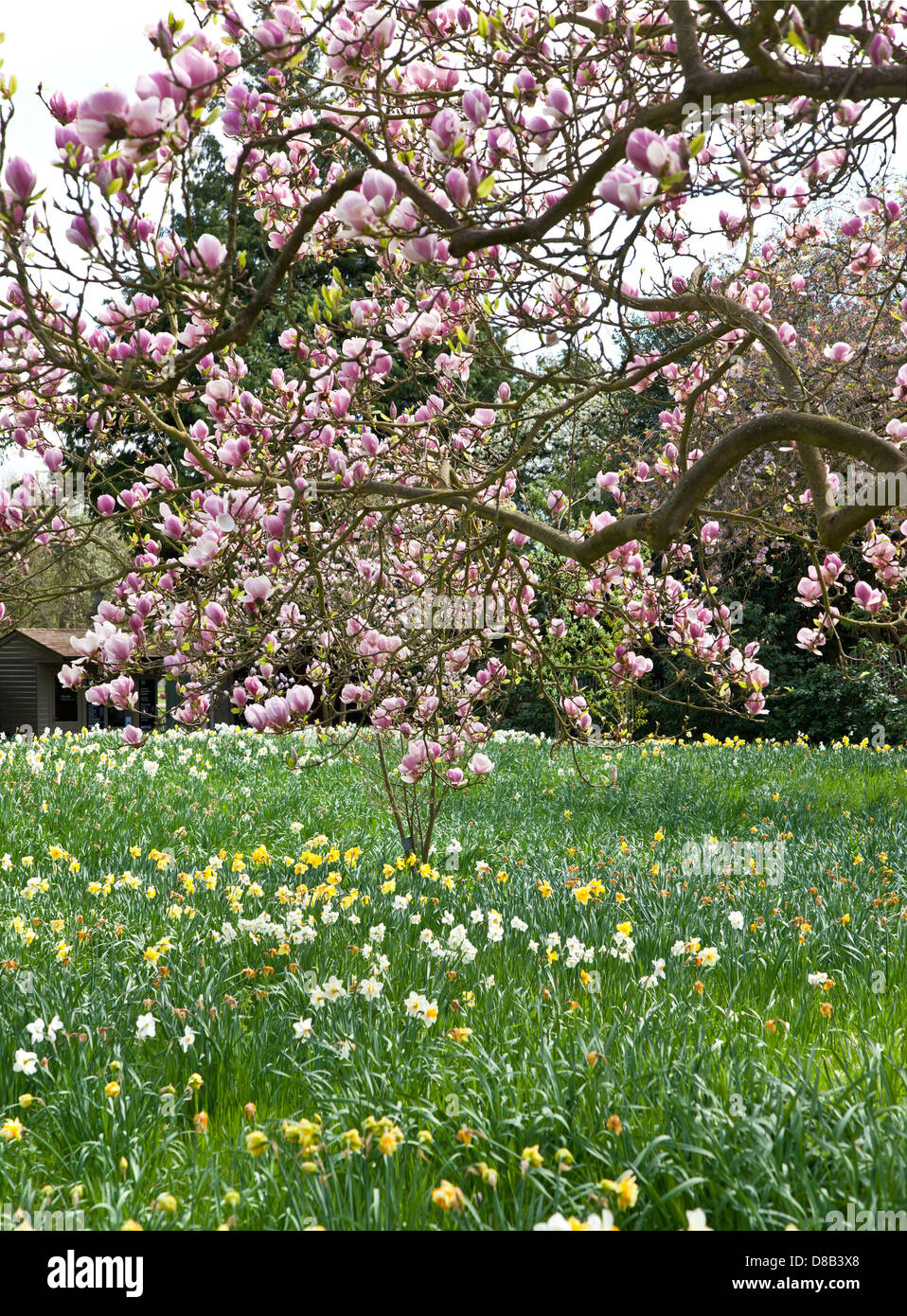 Hampton court gardens hi-res stock photography and images - Alamy