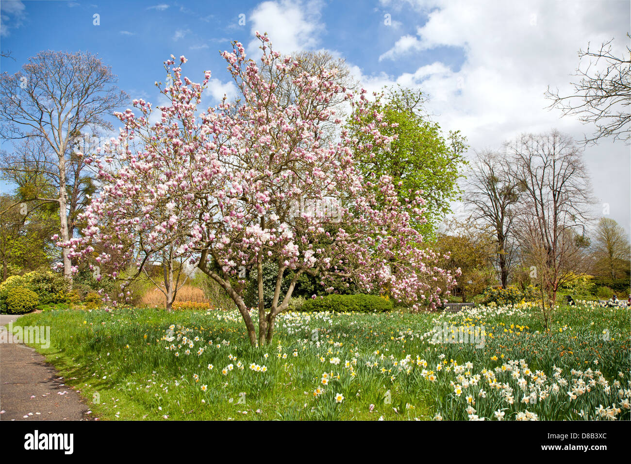 Hampton court gardens hi-res stock photography and images - Alamy