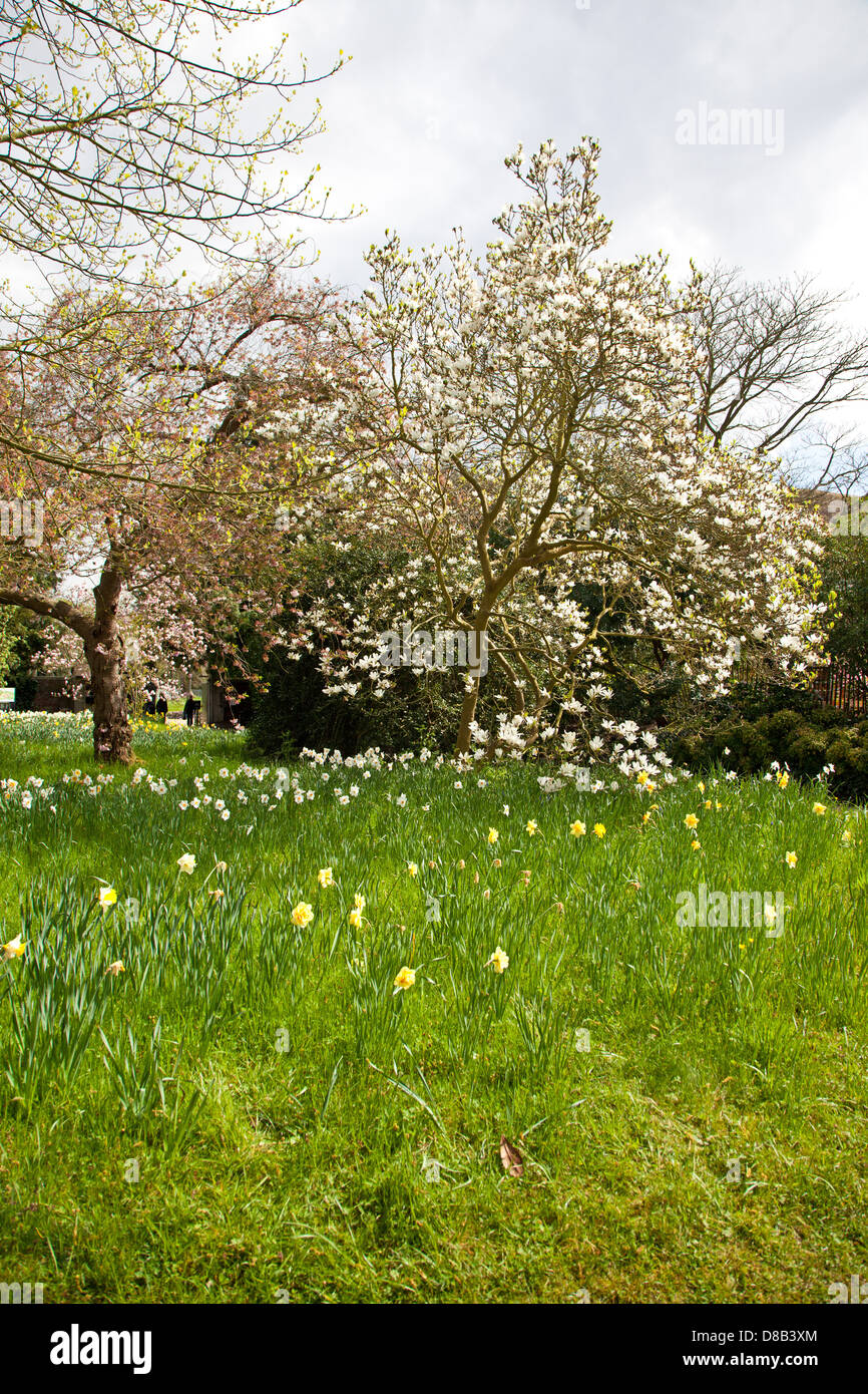 Court gardens hi-res stock photography and images - Alamy