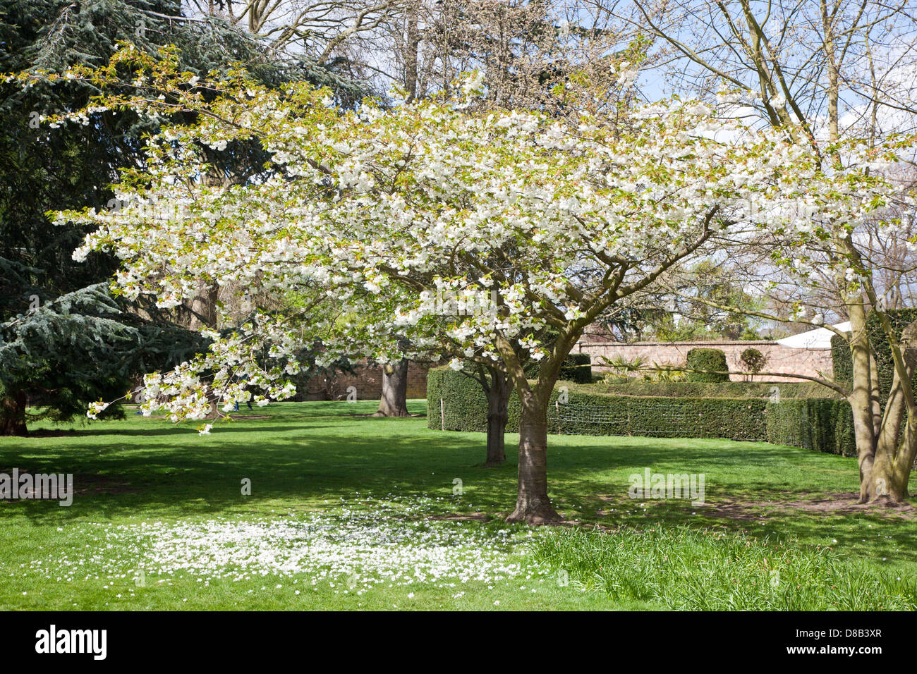 Uk gardens spring hi-res stock photography and images - Alamy