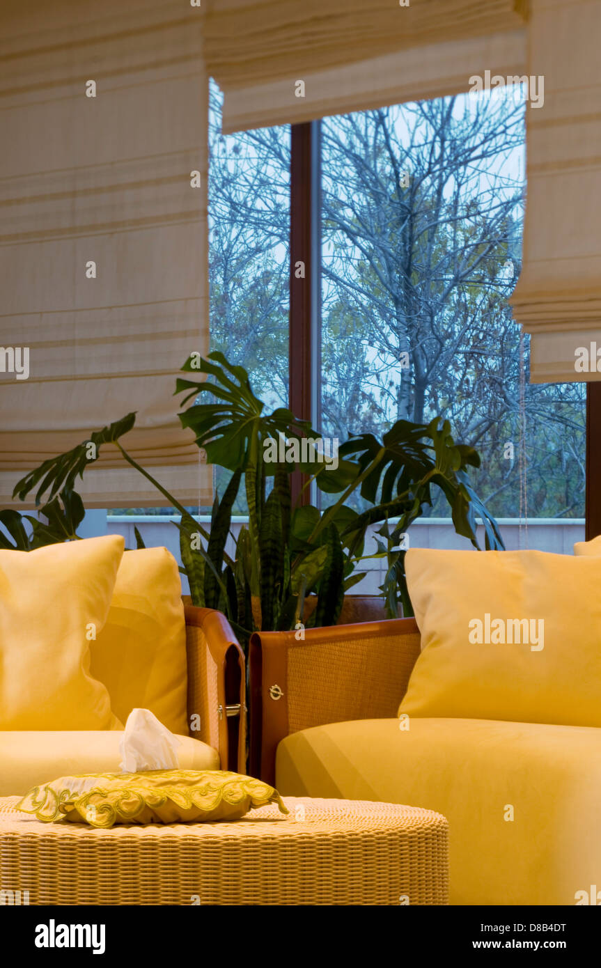 interior with two chairs and a flower and a view from the window Stock ...