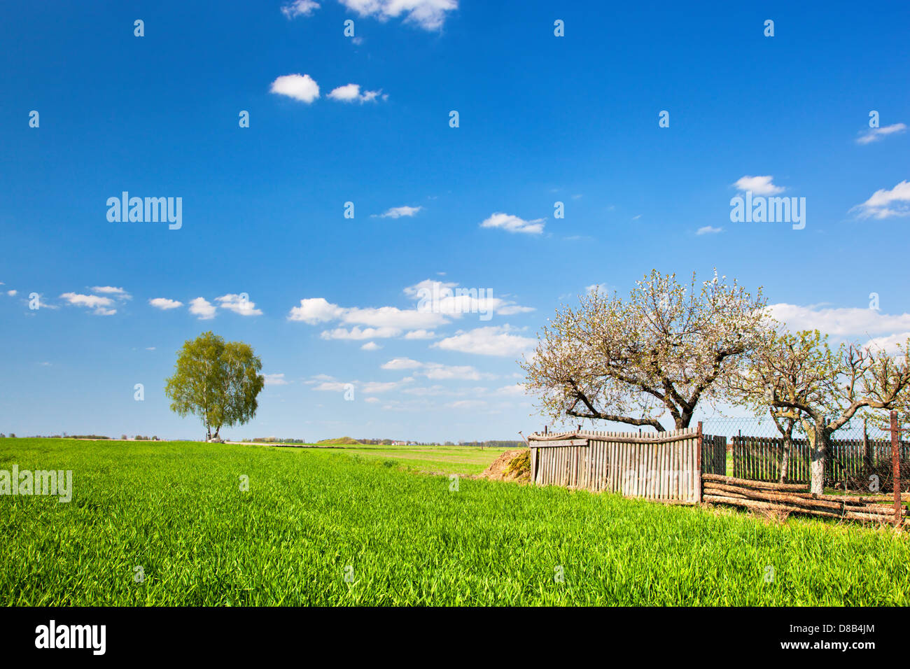 Countryside landscape during spring. Grassy field with trees and wooden ...