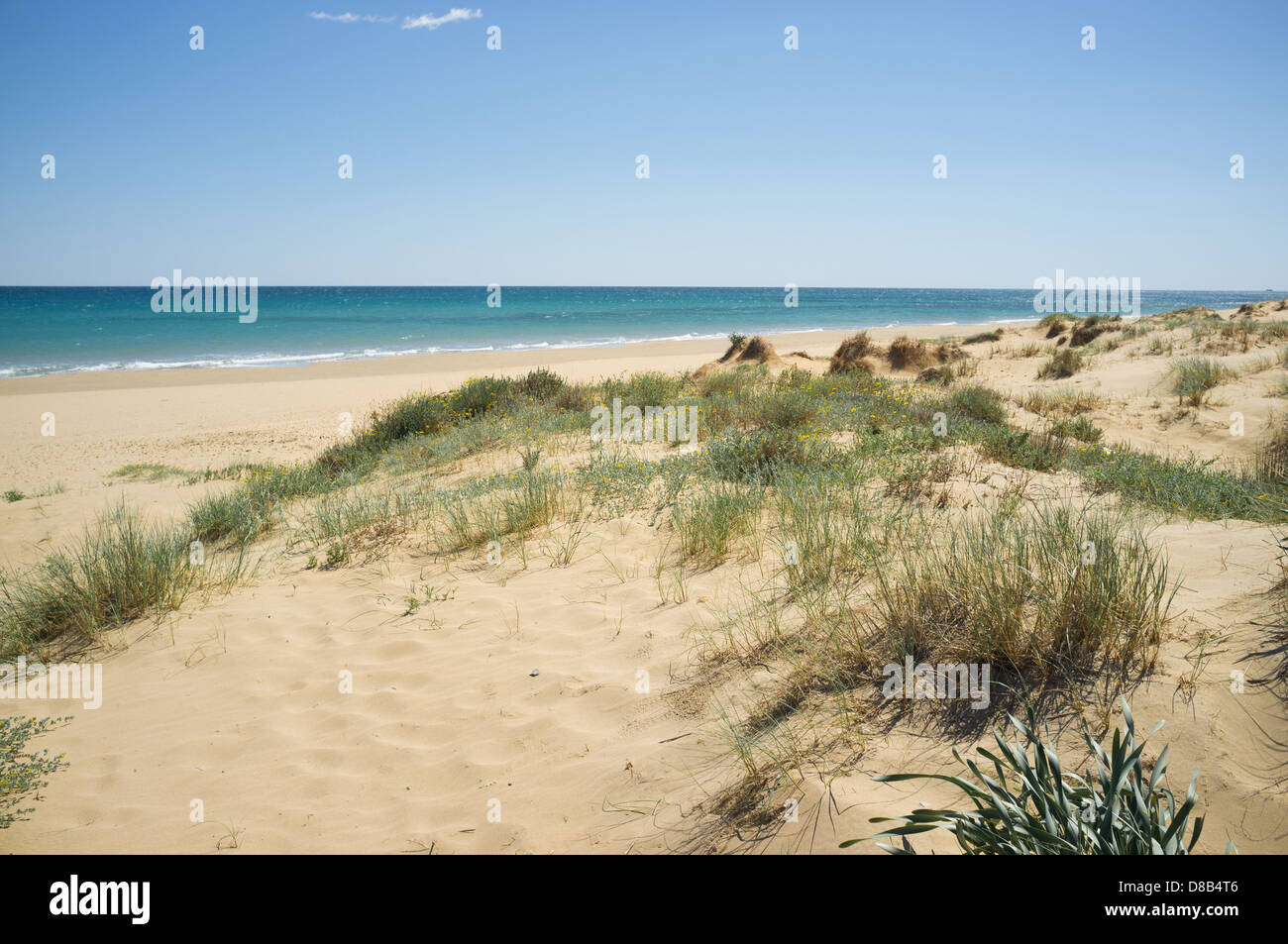 Natural dunes on Santa Pola beach, Costa Blanca, Spain Stock Photo - Alamy