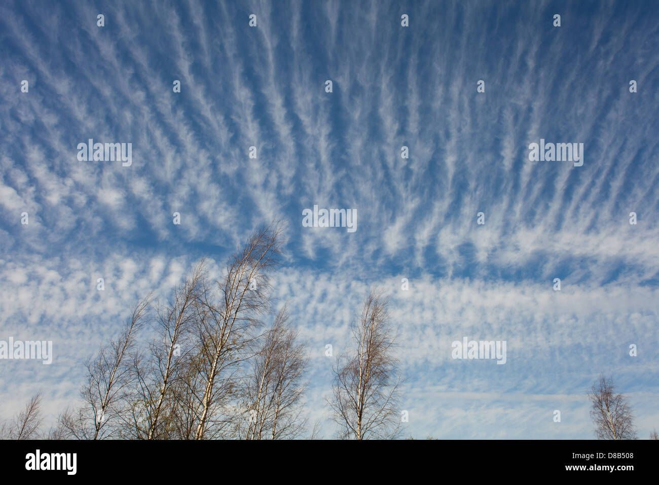 Cirrus cloud hi-res stock photography and images - Alamy