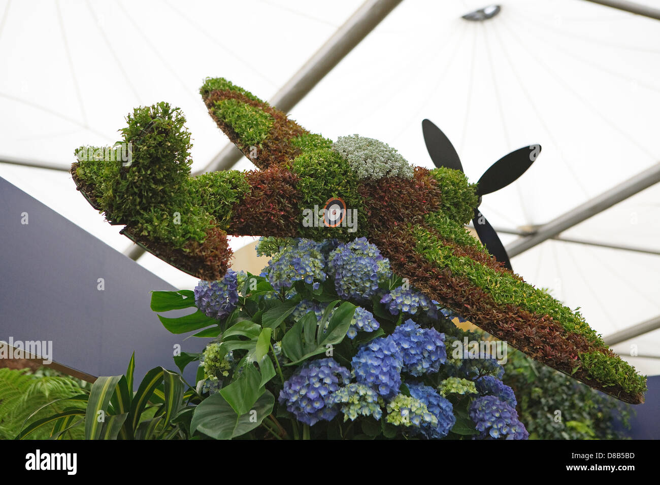 A topiary Spitfire plane on display at RHS Chelsea Flower Show 2013 ...