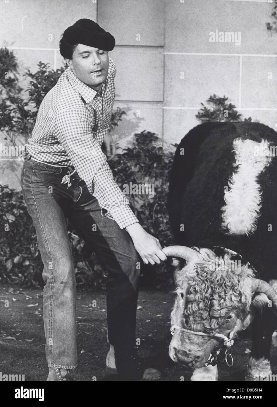 Max baer jr hi-res stock photography and images - Alamy